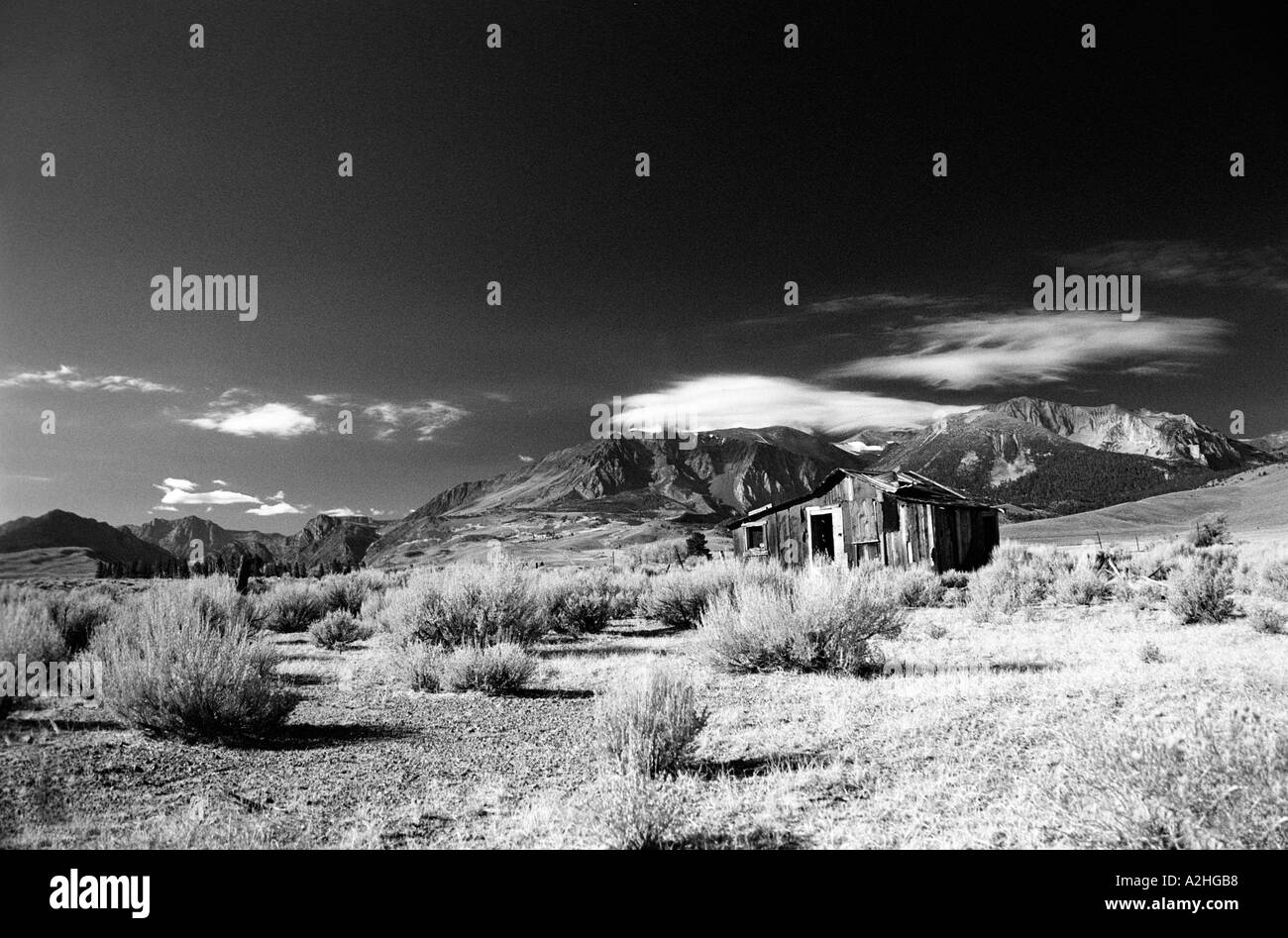 Old Hut Lee Vining California Stock Photo - Alamy