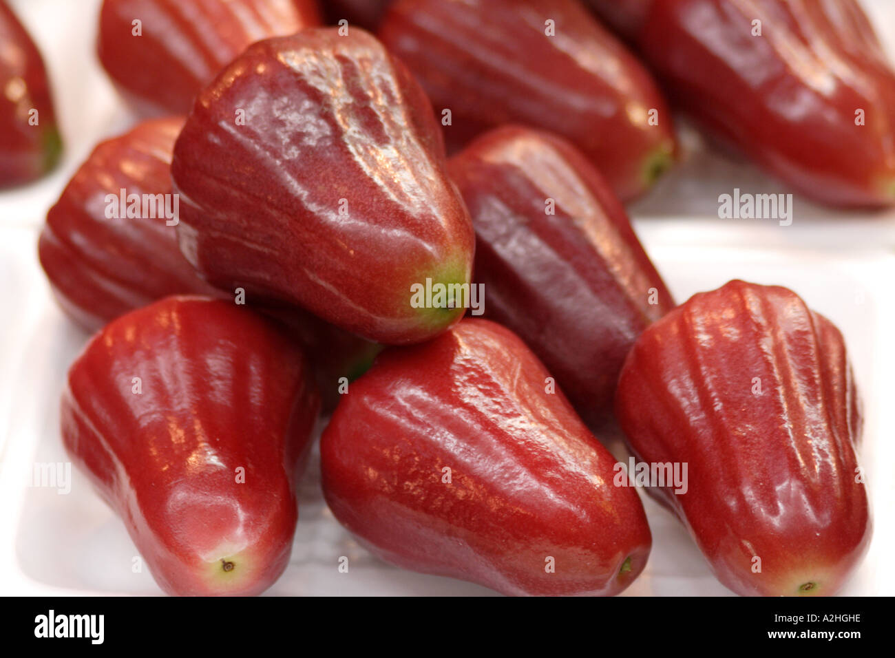 Waxy rose hi-res stock photography and images - Alamy