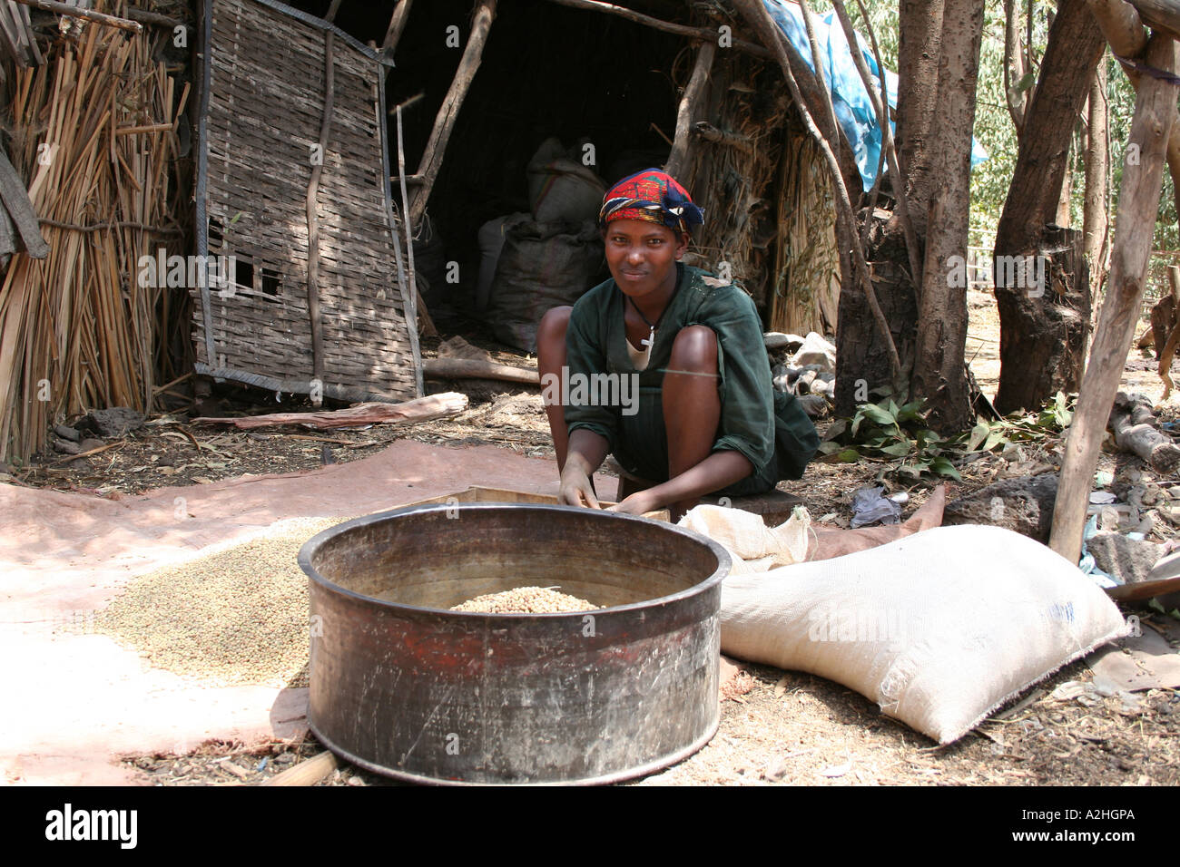 Sifting grain, Weyto Village, Bahar Dar, Ethiopia Stock Photo - Alamy