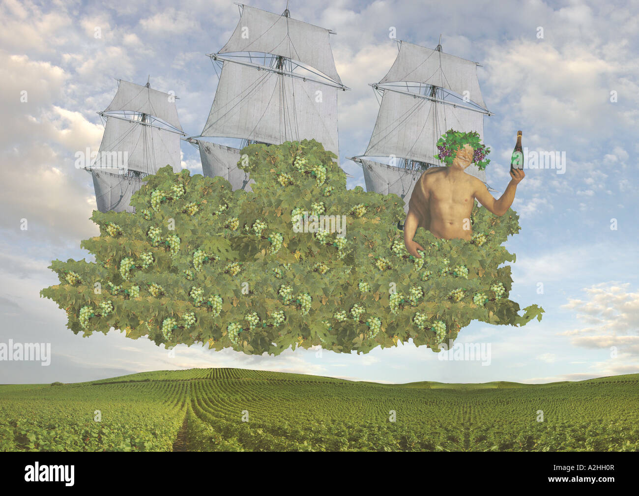 Viny hi-res stock photography and images - Alamy