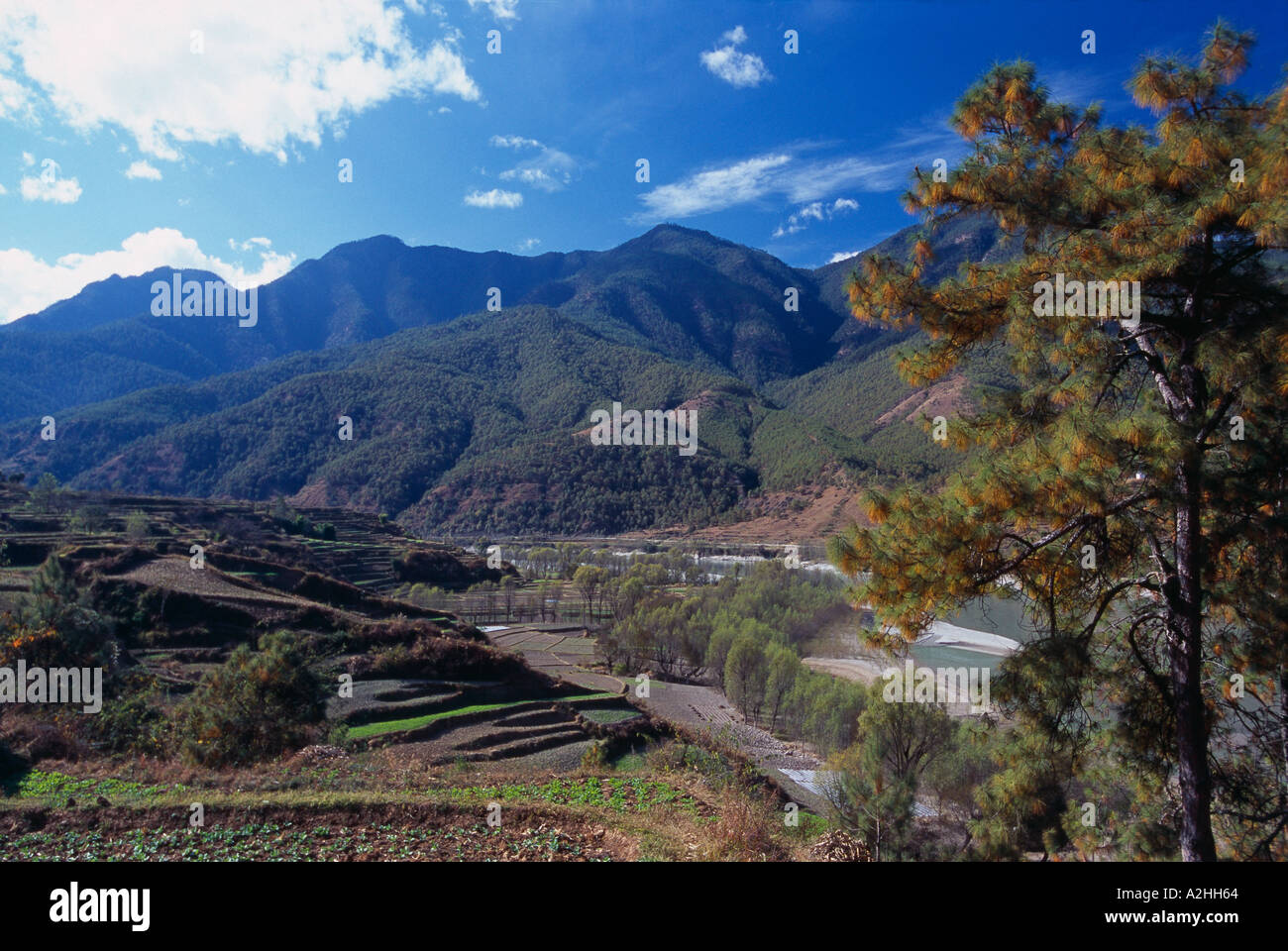 Farm terraces near the first bend of Yangtse River Yunnan Province ...