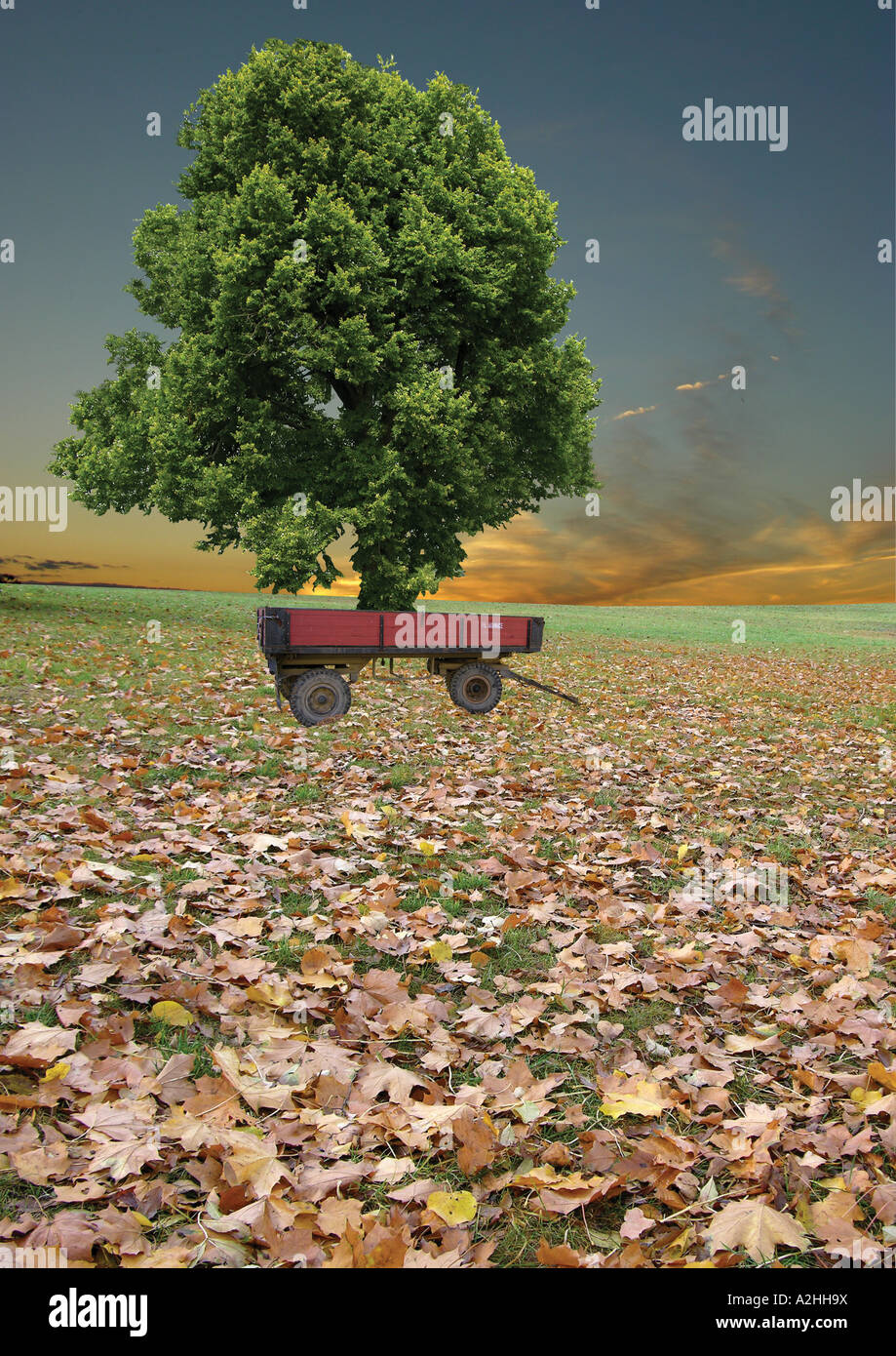 Environmentalism hi-res stock photography and images - Alamy