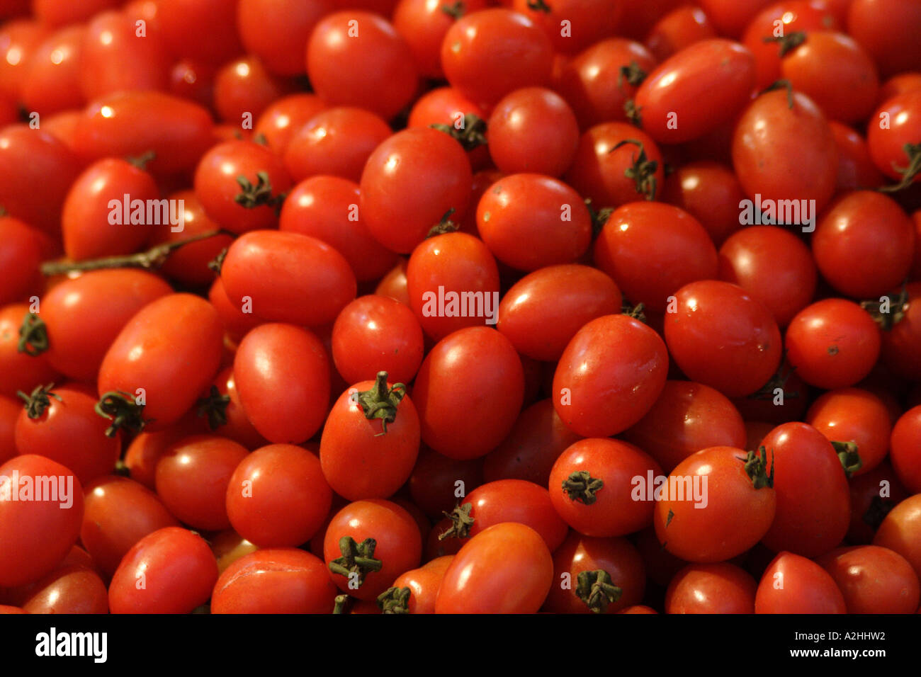 Red berry tomatoes hi-res stock photography and images - Alamy