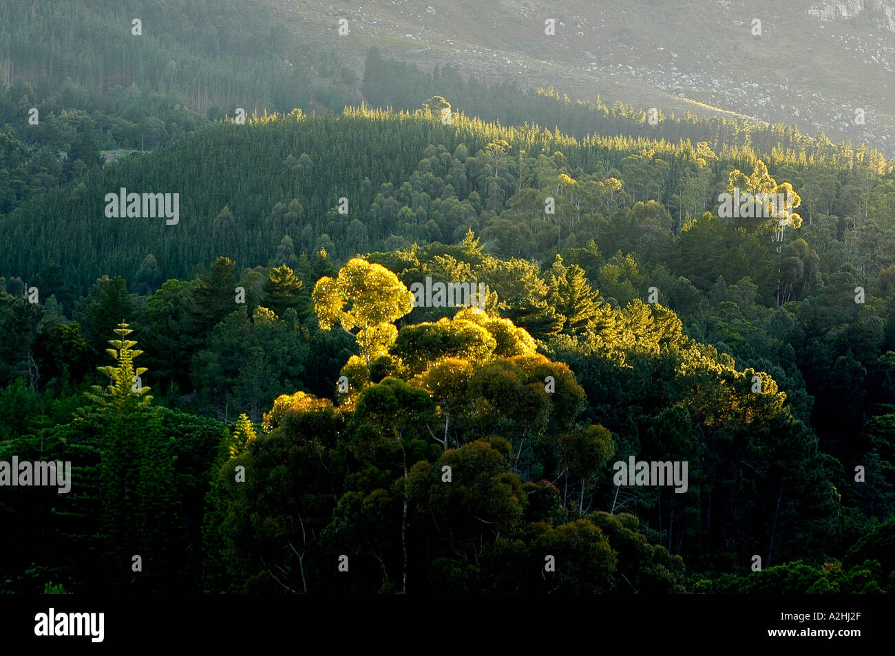 Shaft of light africa hi-res stock photography and images - Alamy