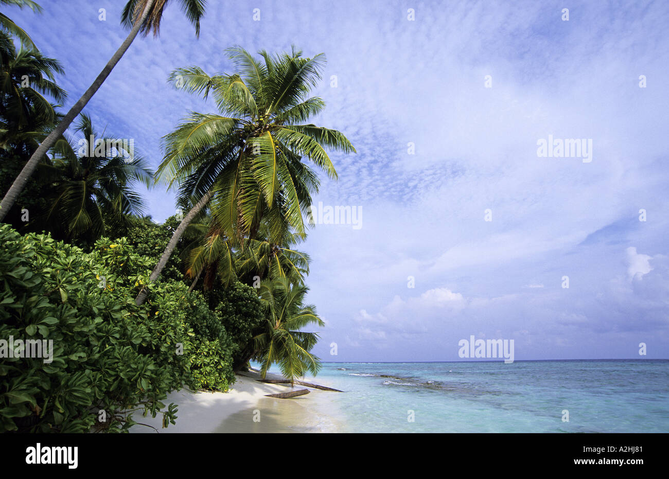 Maldives Baa atoll Stock Photo - Alamy