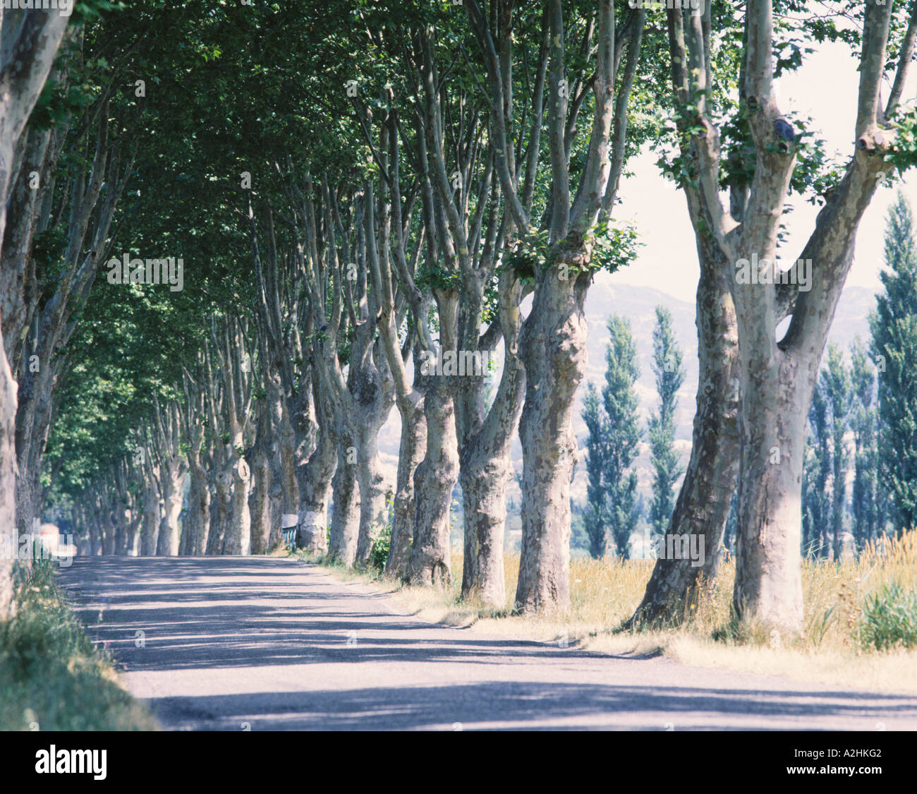 France typical country hi-res stock photography and images - Alamy