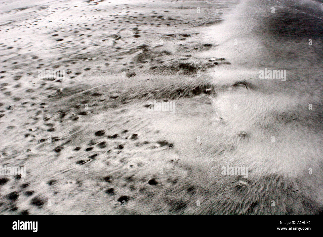 Natural abstract pattern in sand on strandline, Refviksanden beach ...