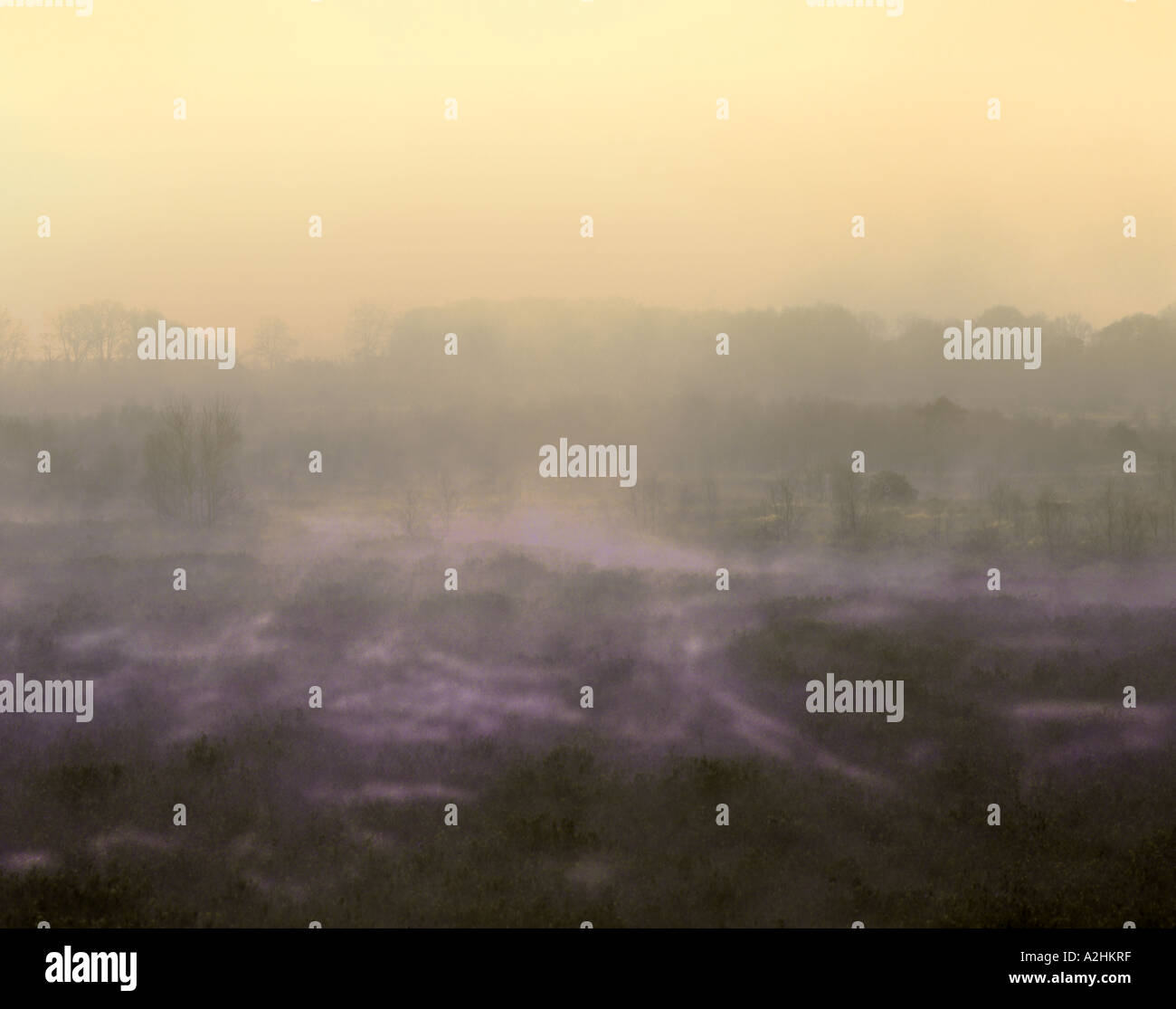 Heathland mist atmosphere hi-res stock photography and images - Alamy