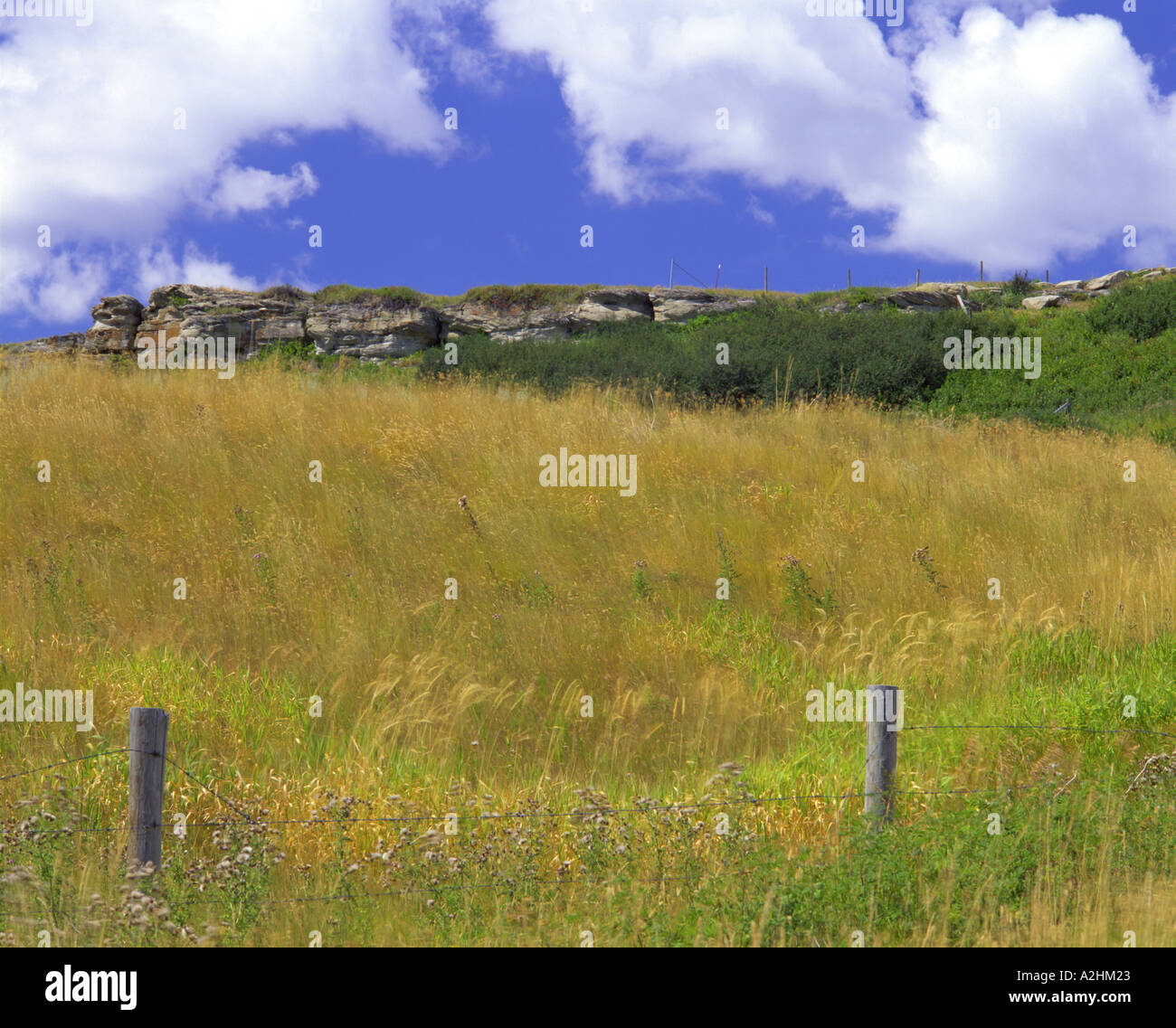 The cliffs of the Head Smashed In site Head Smashed In Buffalo Jump ...