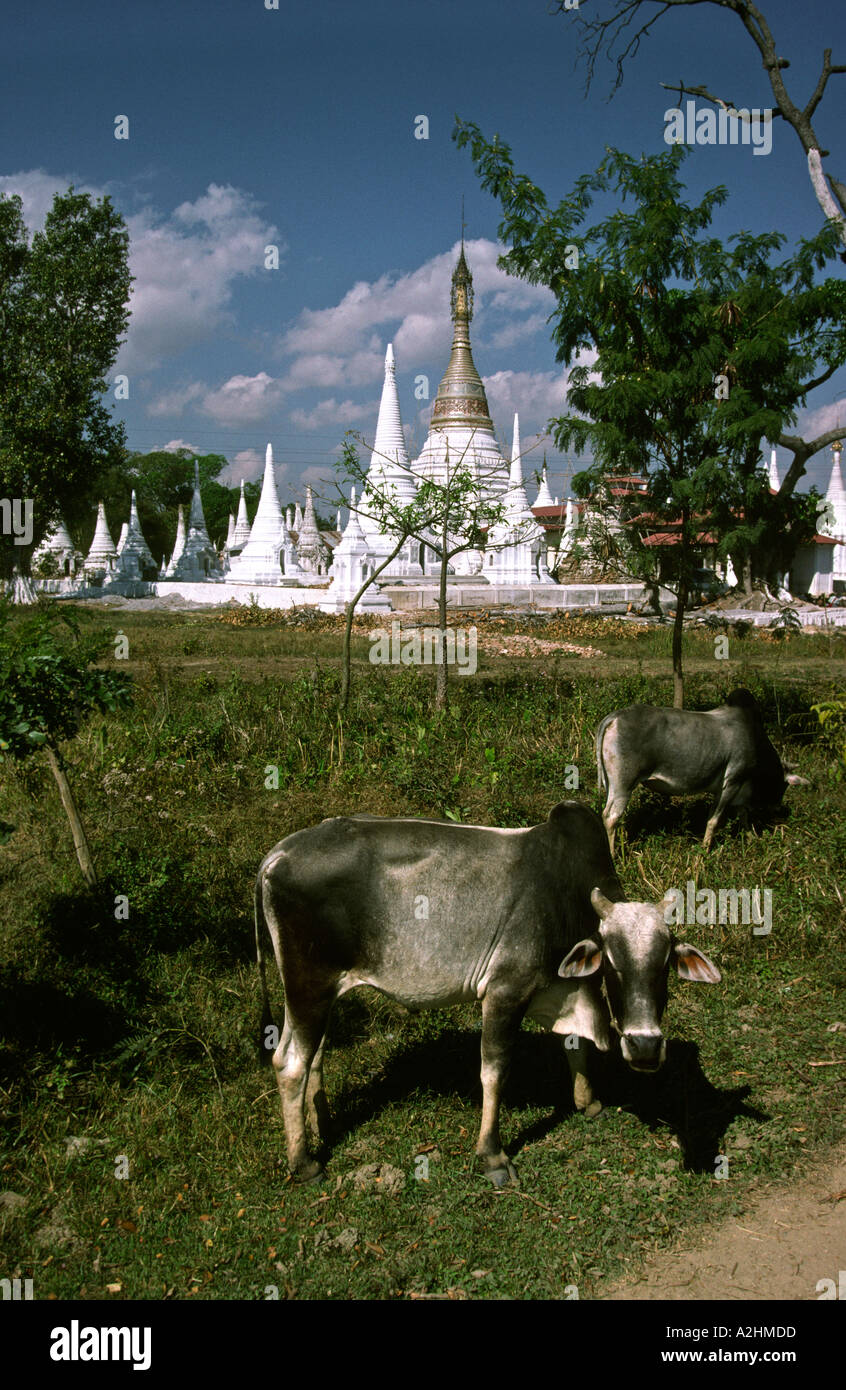 Myanmar Burma Inle Lake Yaunghwe Yaungshwe religion Shwenyaung Yaunghwe ...