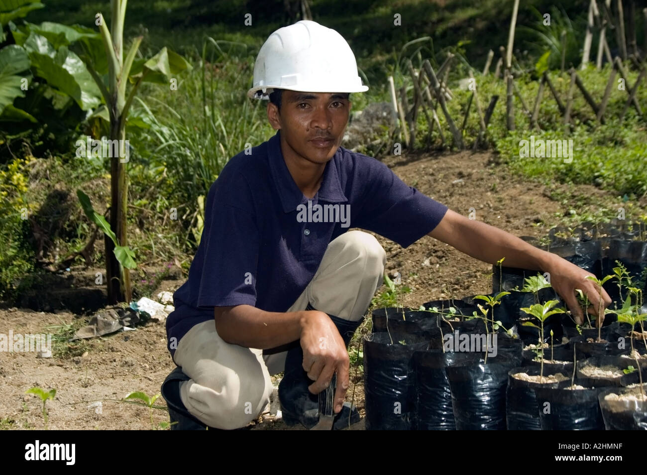 Tree nursery at world's largest copper mine to protect environment ...