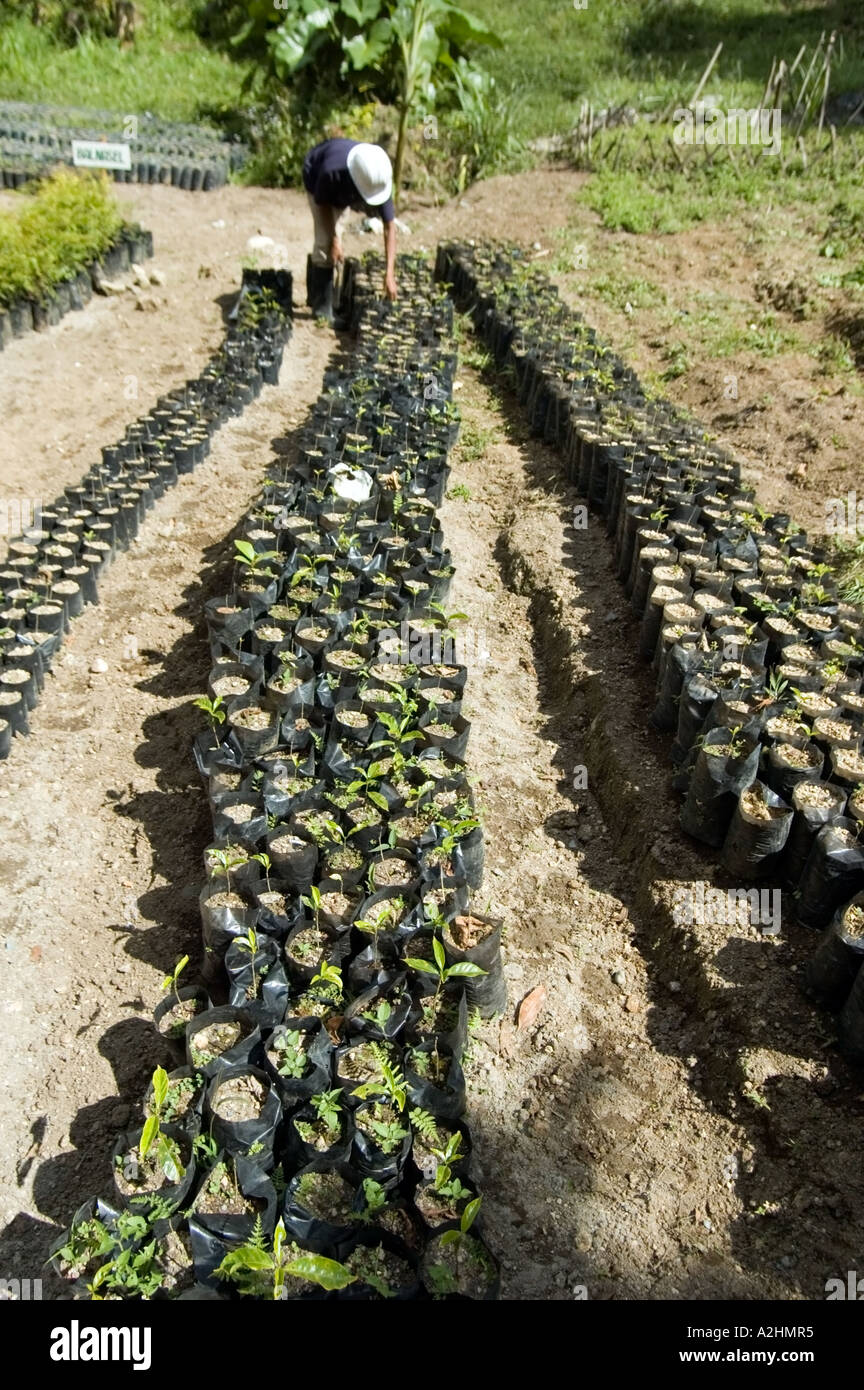 Conservation efforts associated with the Tampakan Copper Project, South ...