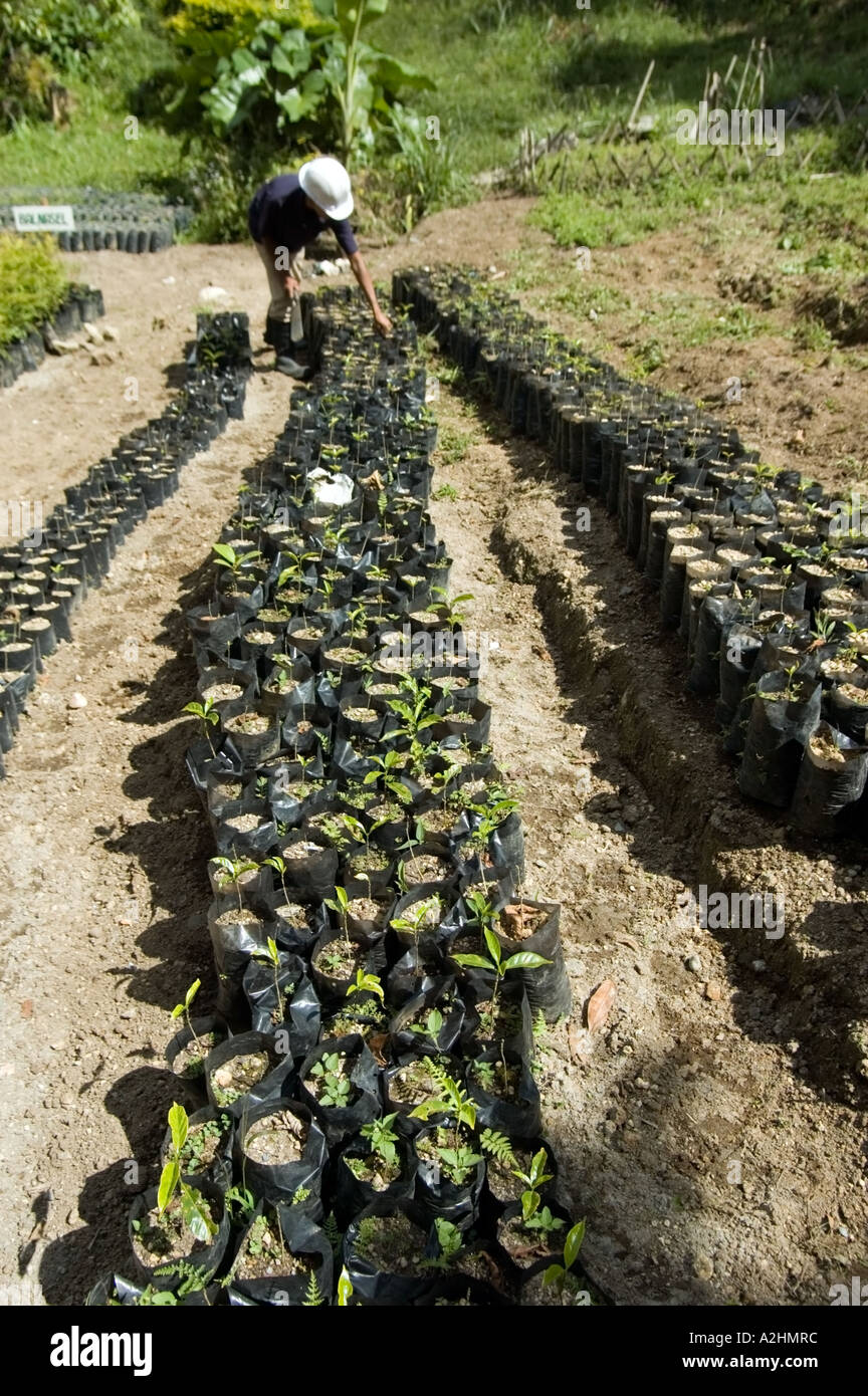 Conservation efforts associated with the Tampakan Copper Project, South ...