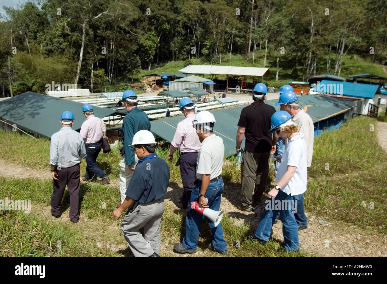 Australian mining co studies core samples from drilling world's largest ...