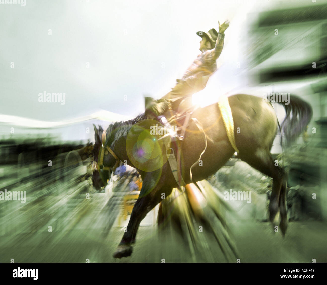 Stampede exhibition hi-res stock photography and images - Alamy