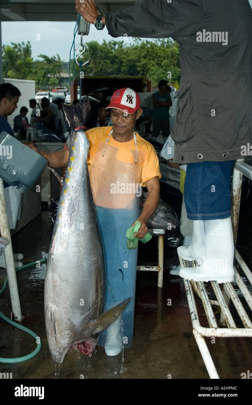 Yellowfin tuna fish market General Santos City, Mindanao, Philippines ...