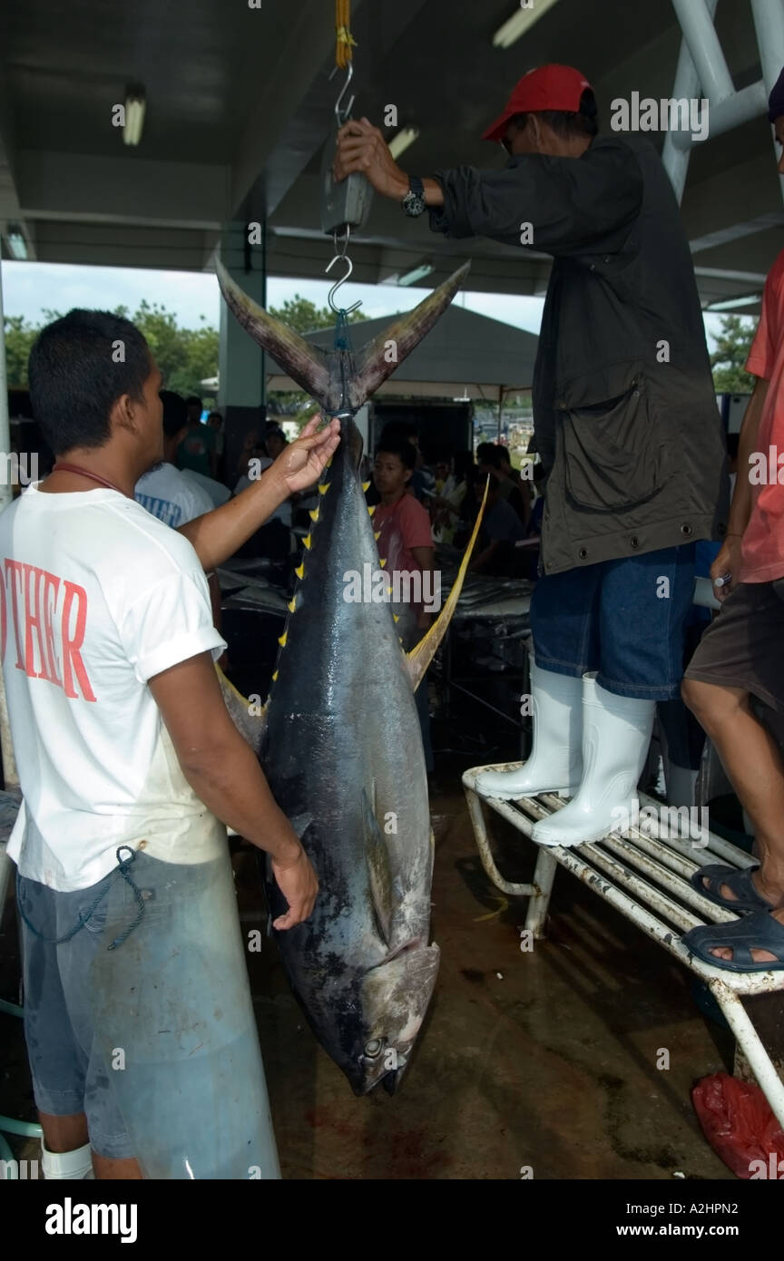 Yellowfin tuna fish market General Santos City, Mindanao, Philippines ...