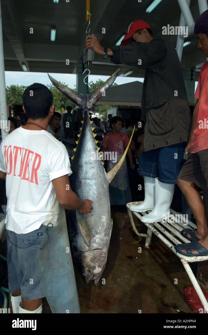 Yellowfin tuna fish market General Santos City, Mindanao, Philippines ...