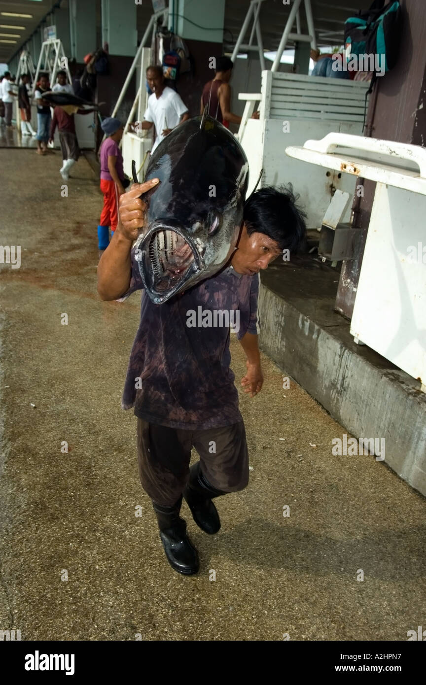 Yellowfin tuna fish market General Santos City, Mindanao, Philippines ...