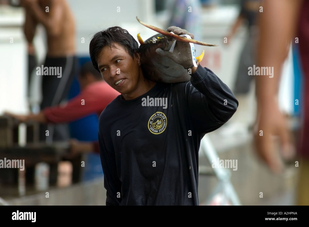 Yellowfin tuna fish market General Santos City, Mindanao, Philippines ...