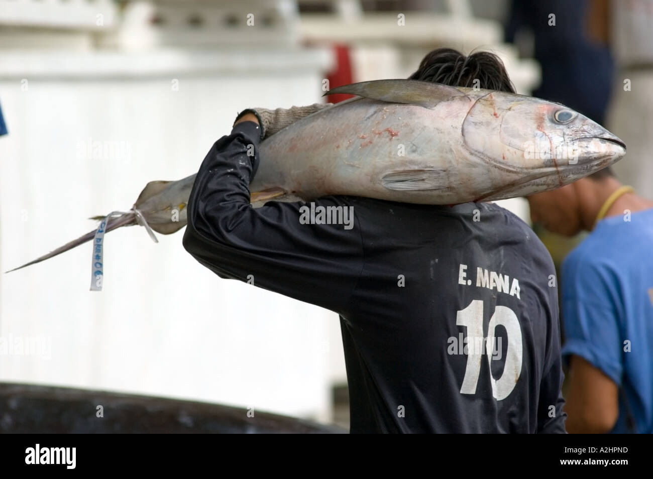 Yellowfin tuna fish market General Santos City, Mindanao, Philippines ...