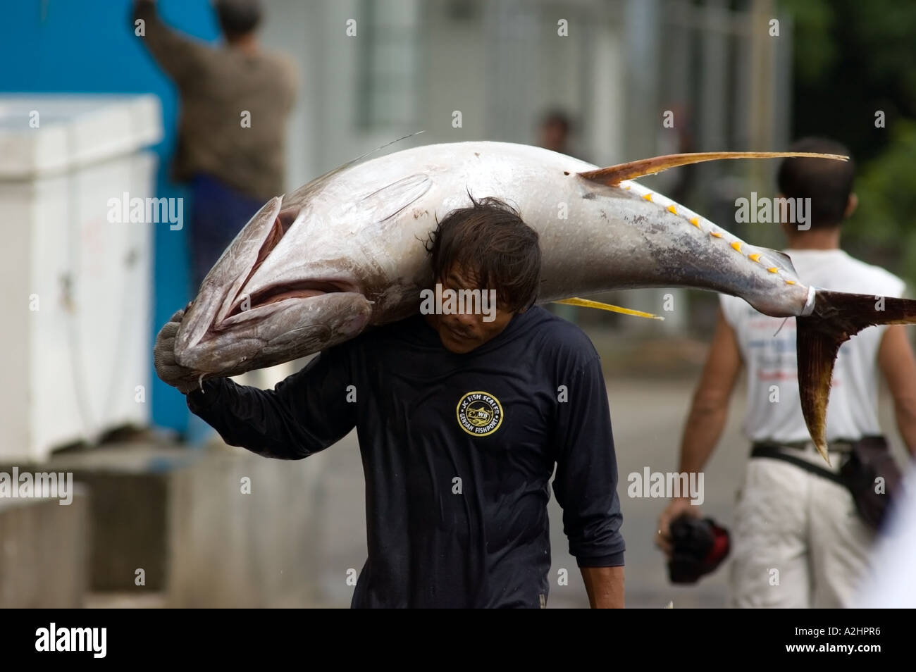Yellowfin tuna fish market General Santos City, Mindanao, Philippines ...