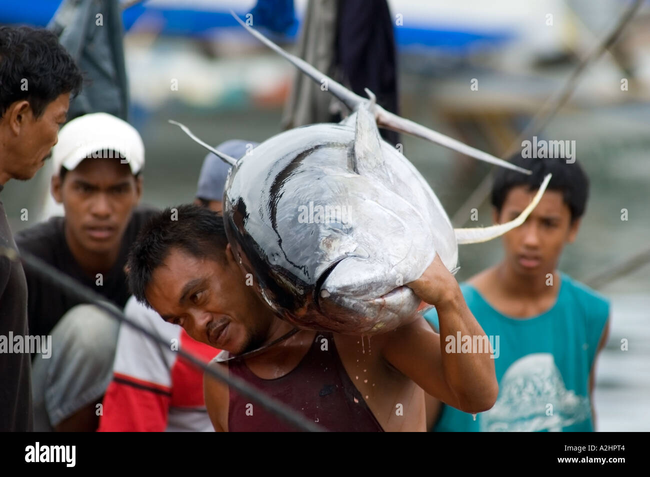 Yellowfin tuna fish market General Santos City, Mindanao, Philippines ...