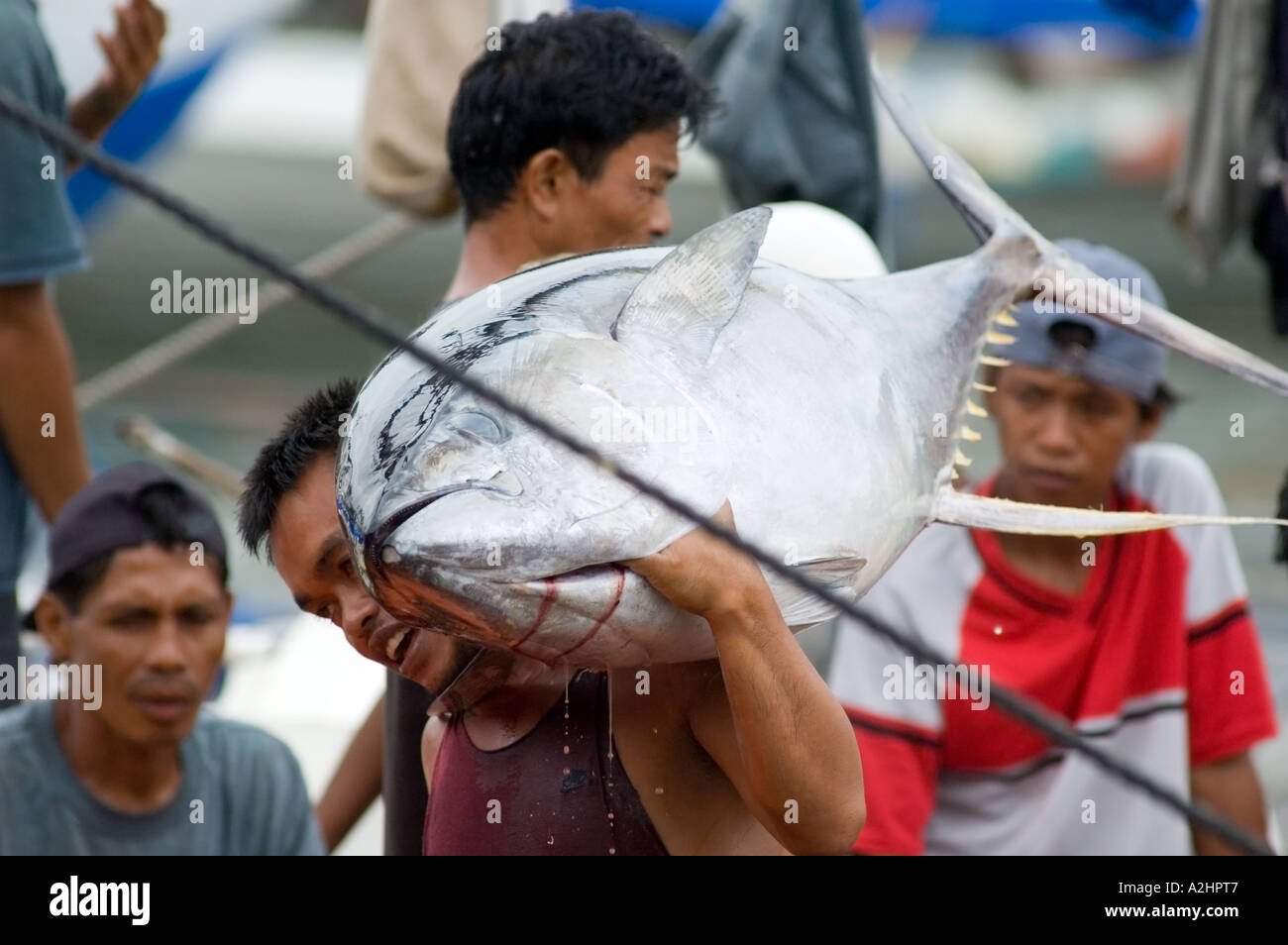 Yellowfin tuna fish market General Santos City, Mindanao, Philippines ...