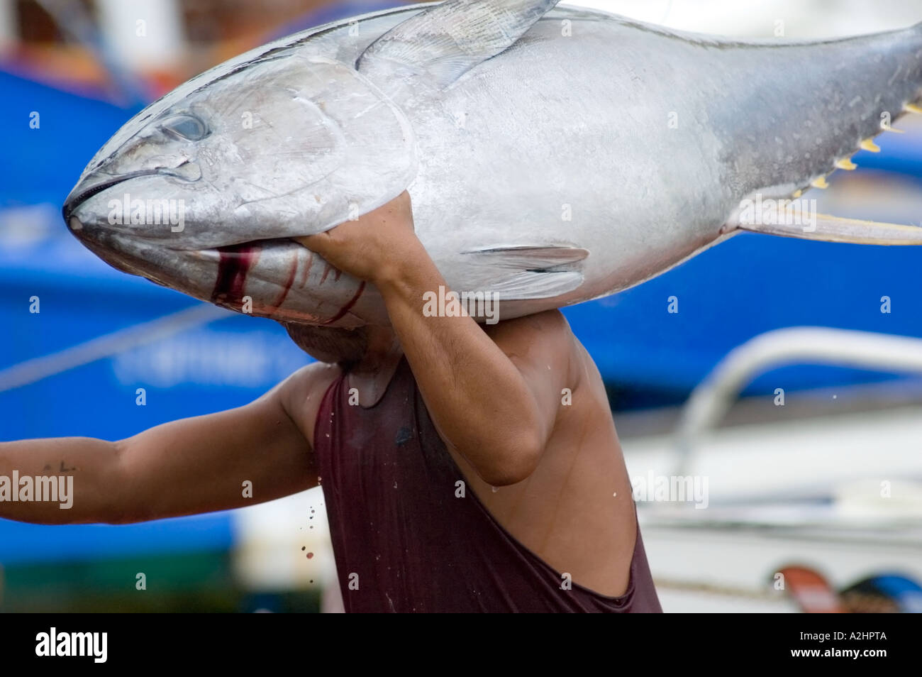 Yellowfin tuna fish market General Santos City, Mindanao, Philippines ...