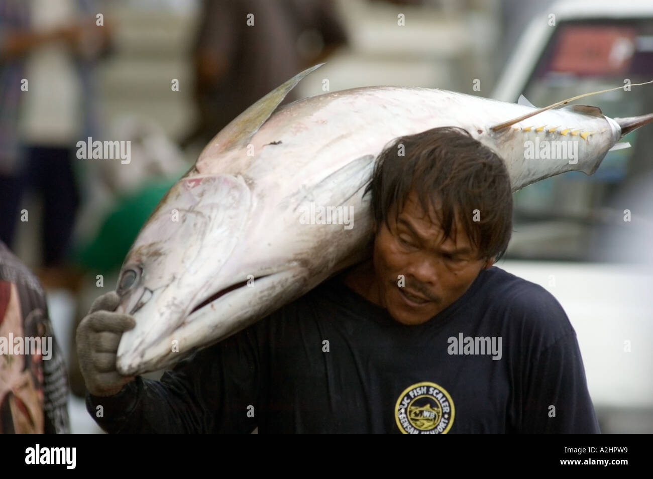 Yellowfin tuna fish market General Santos City, Mindanao, Philippines ...