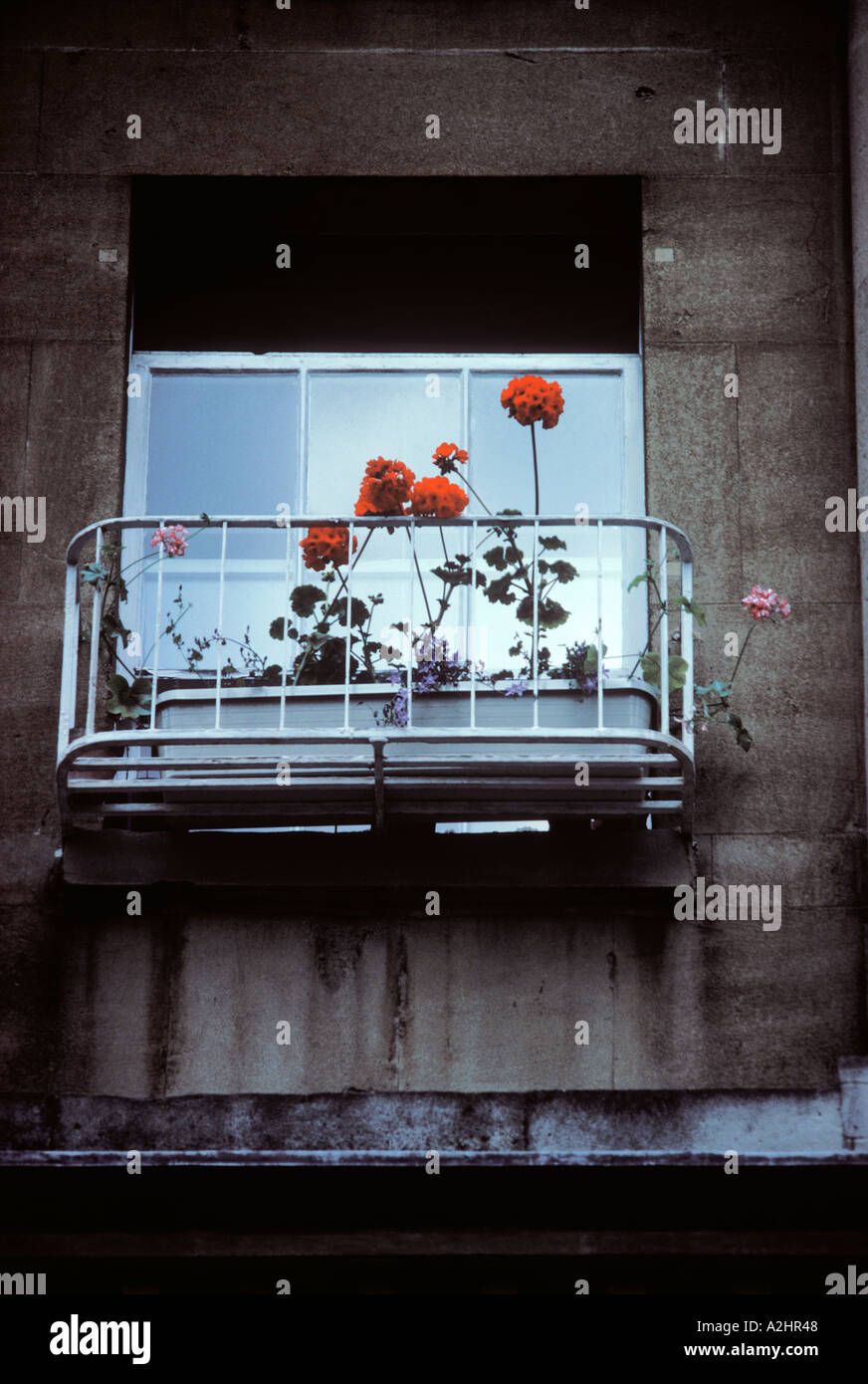 Balcony railing bricks brick hi-res stock photography and images - Alamy
