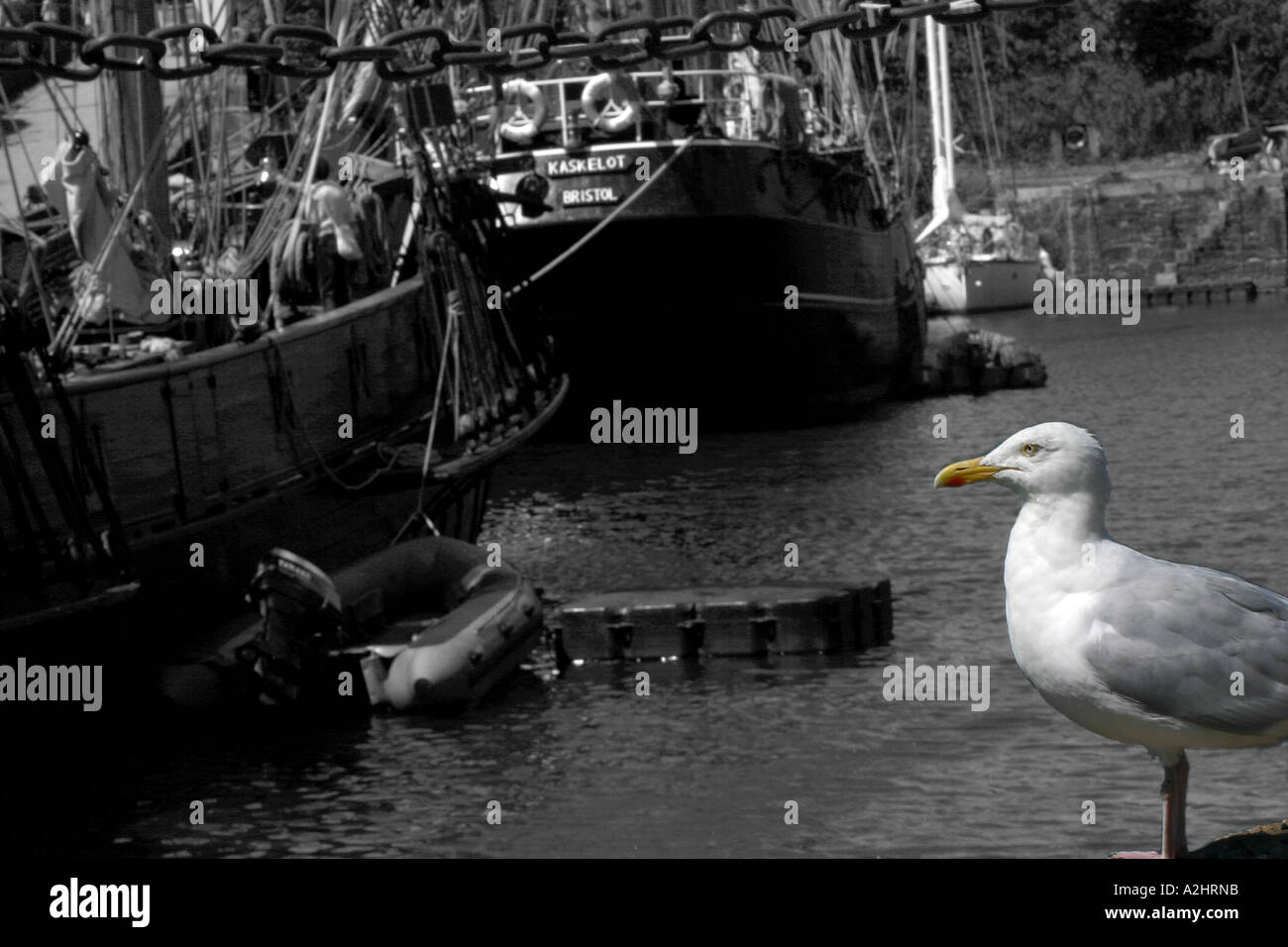 Ships beak hi-res stock photography and images - Alamy