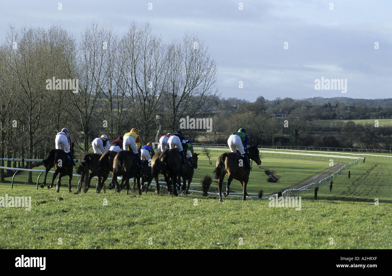 Horse racing at Warwick Races, Warwickshire, England, UK Stock Photo ...