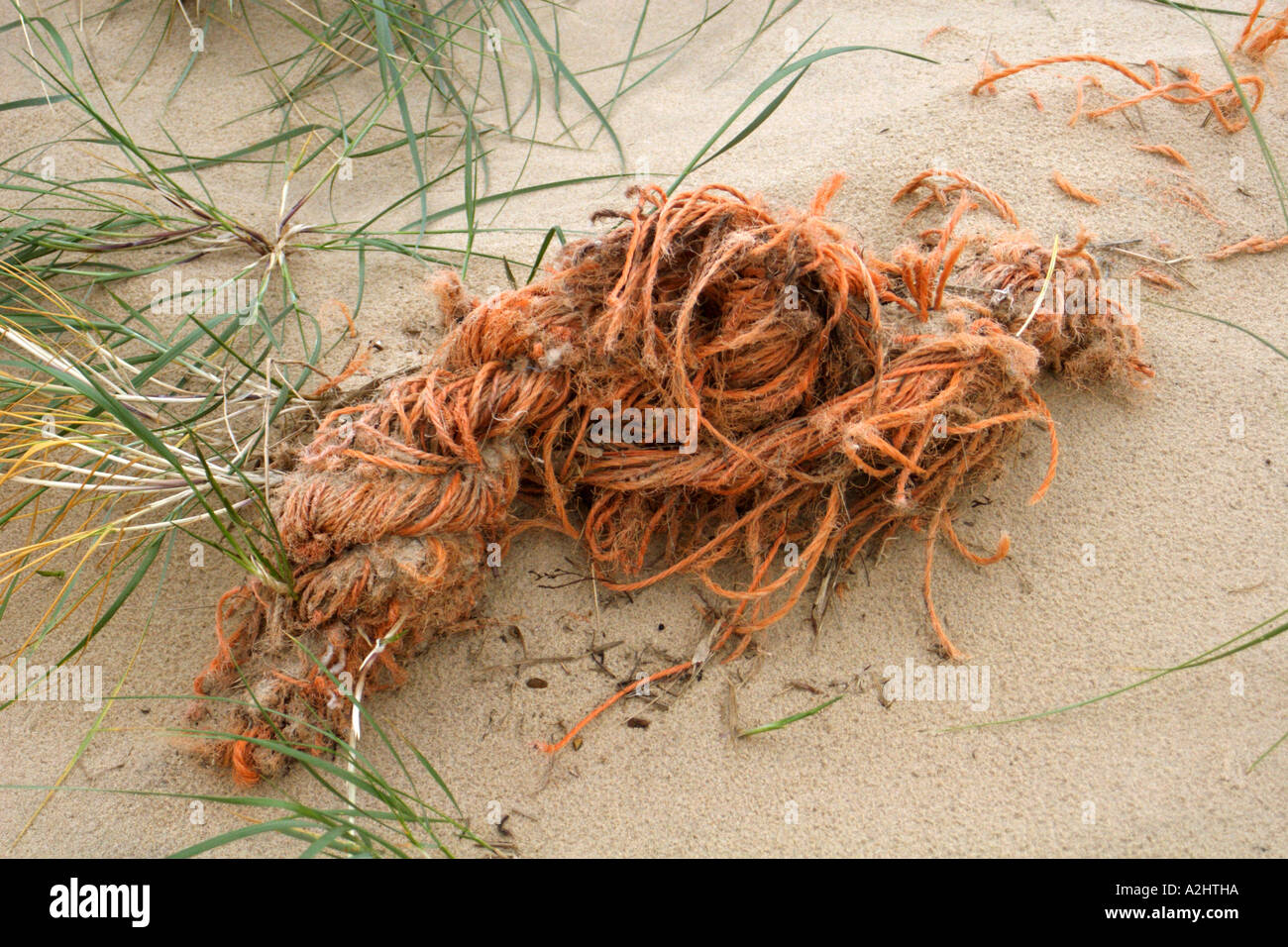 Fishing line washed up on beach at Blakeney, Norfolk, UK Stock Photo ...