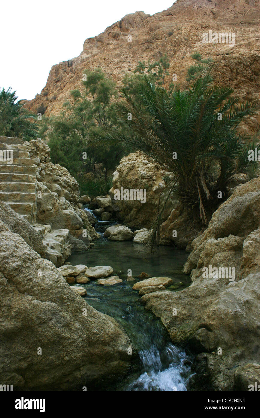 rock formation and waterfall in oasis at Chebika, located between ...