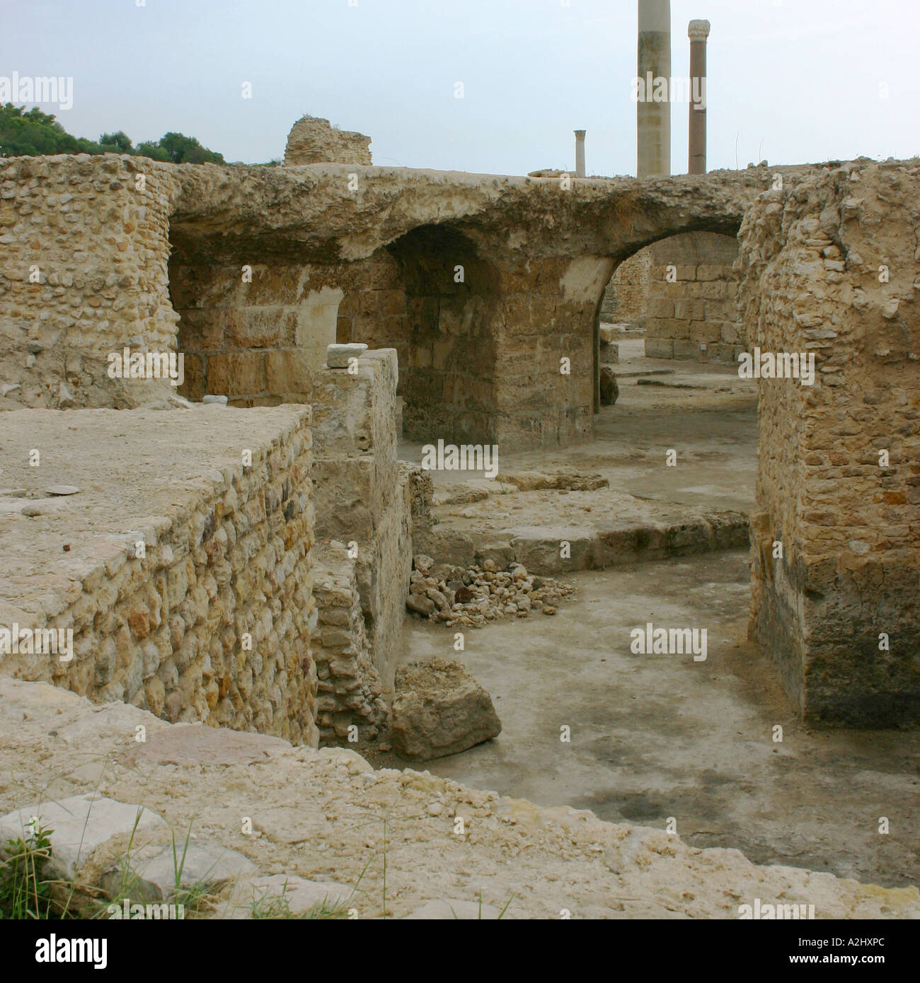 Ruin of an ancient carthage site, Tunis, Tunisia Stock Photo - Alamy
