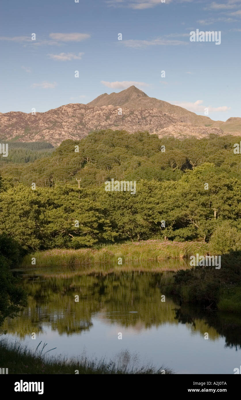 Y Cnicht Snowdonia Stock Photo - Alamy