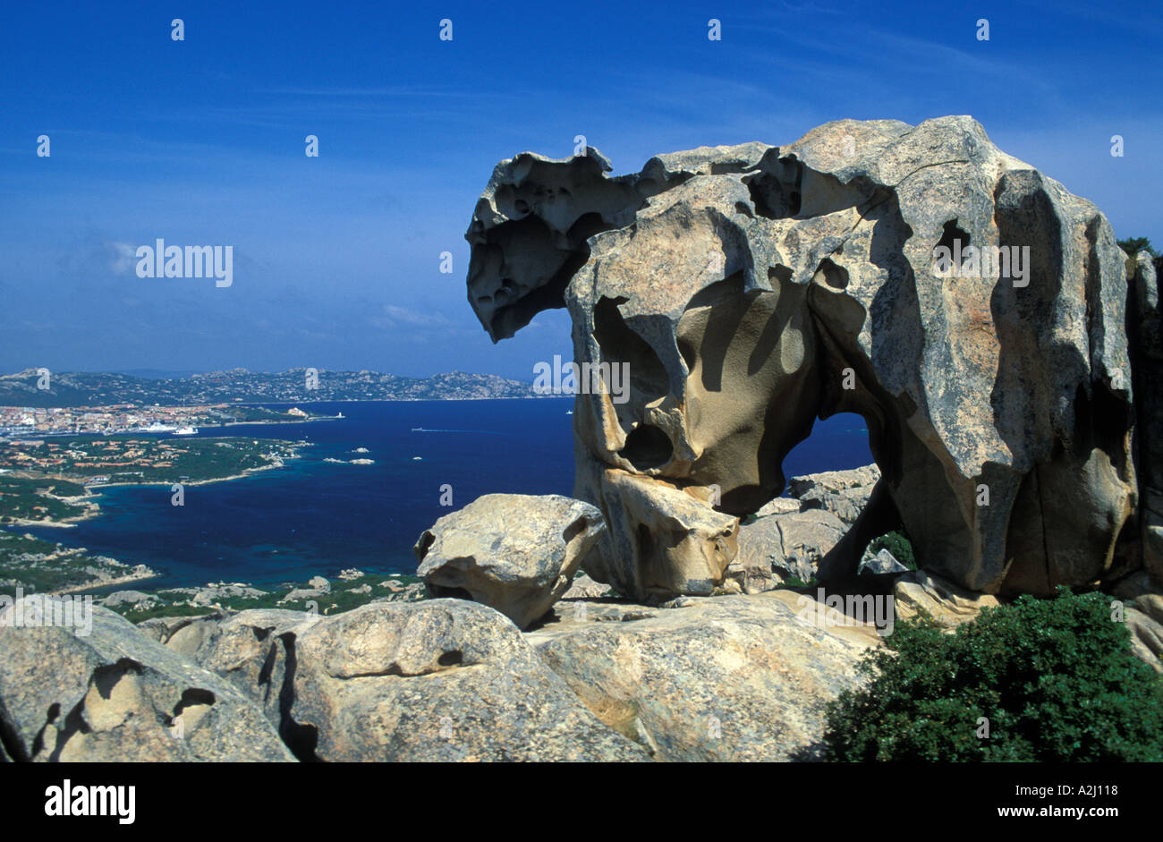 Bear of palau hi-res stock photography and images - Alamy