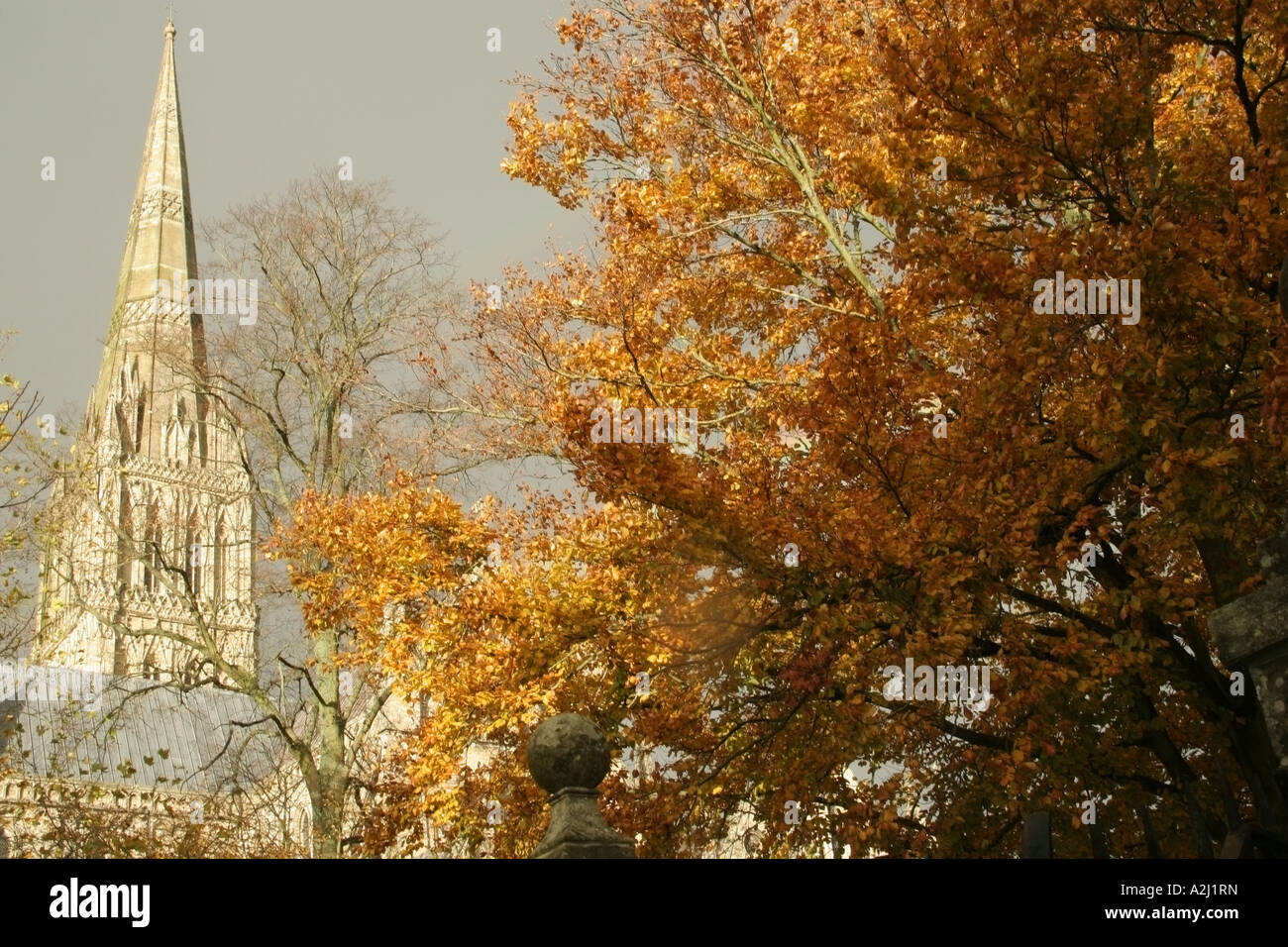 Cathedral Close, Salisbury during autumn Stock Photo - Alamy