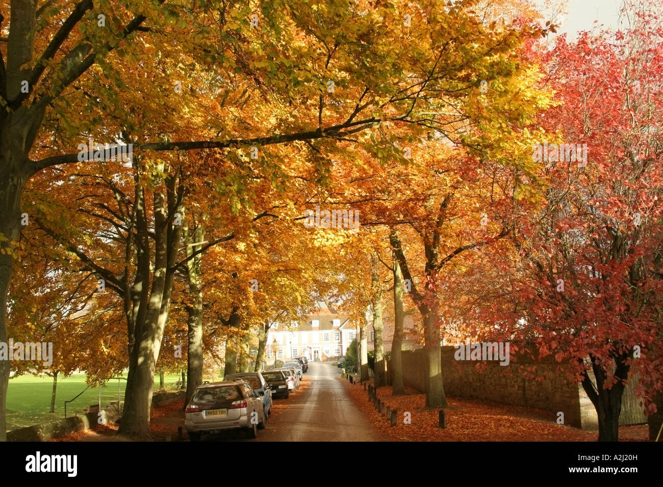 Cathedral Close, Salisbury during autumn Stock Photo - Alamy