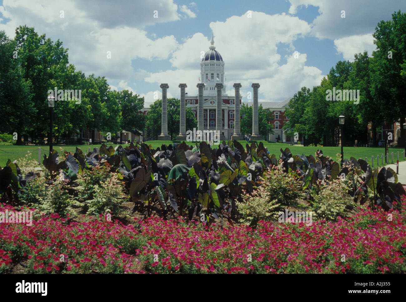 University of missouri columbia hi-res stock photography and images - Alamy