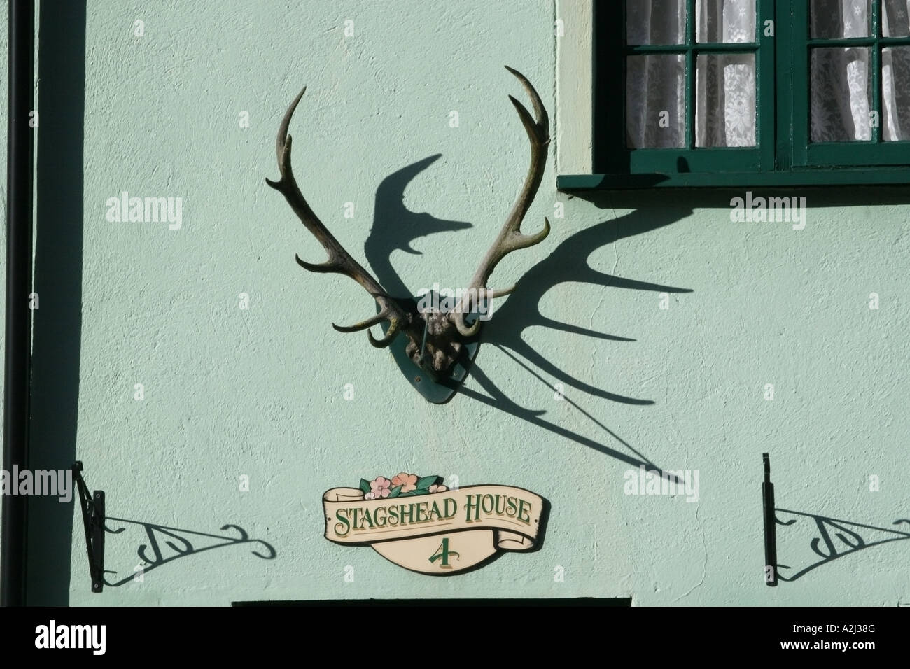 Devon Buck High Resolution Stock Photography and Images - Alamy