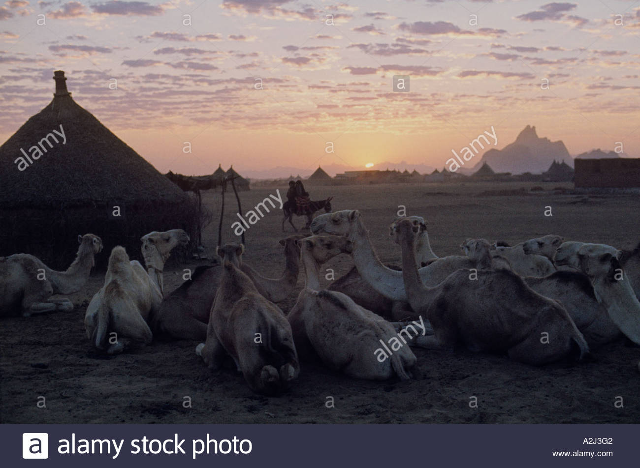 Rashaida Stock Photos & Rashaida Stock Images - Alamy