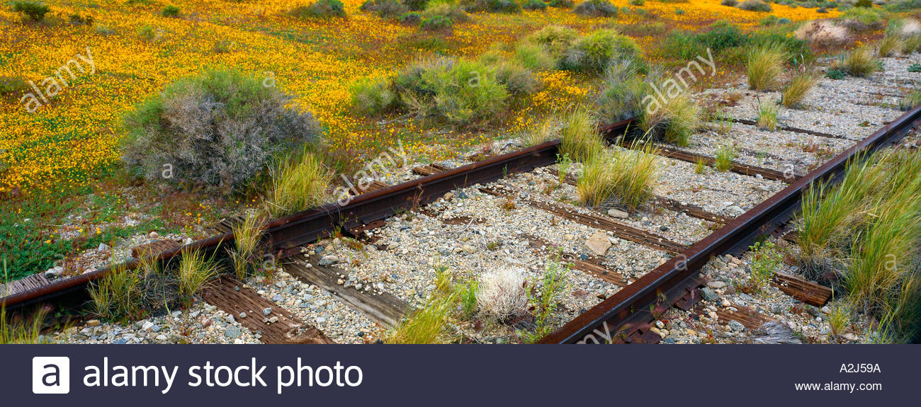Railroad tracks california hi-res stock photography and images - Alamy