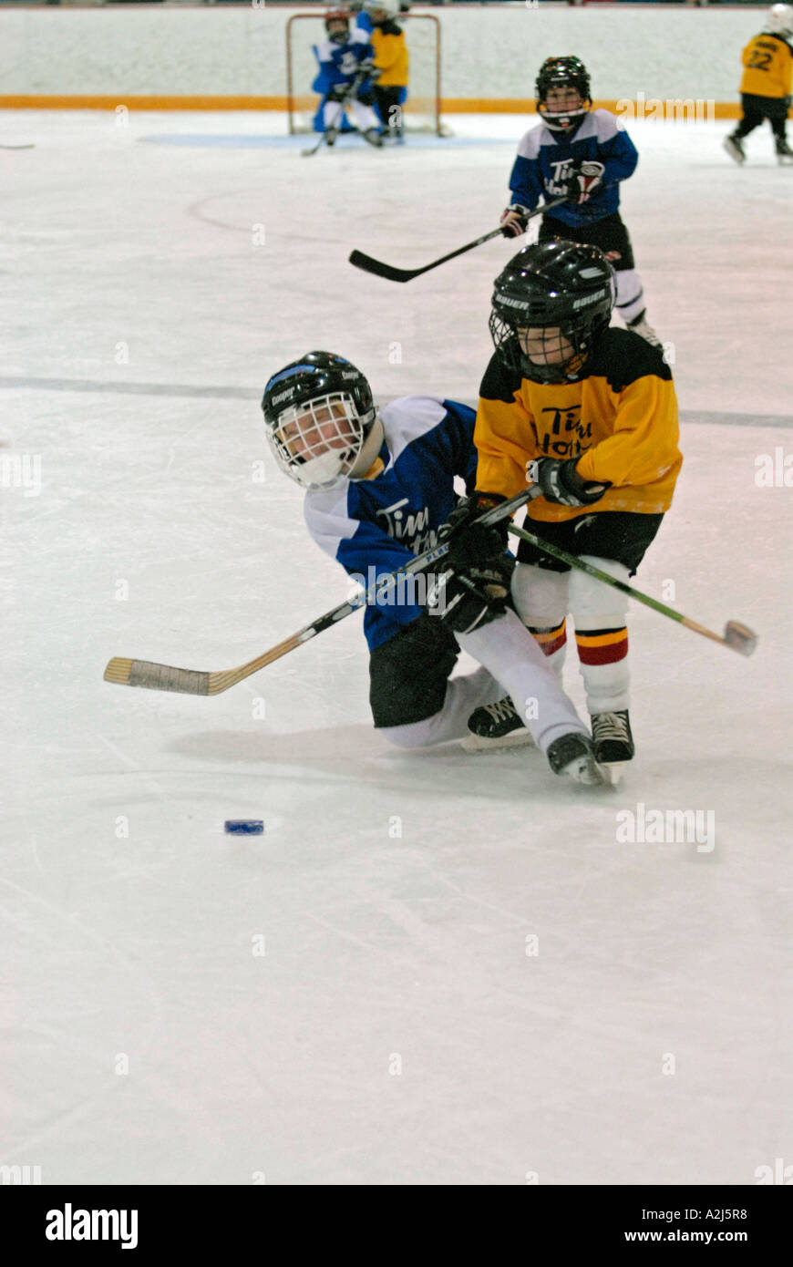 5 year old boys learn how to play the game of ice hockey Stock Photo ...