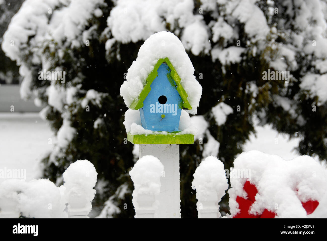 Colorful bird house after a winter snow fall Stock Photo - Alamy
