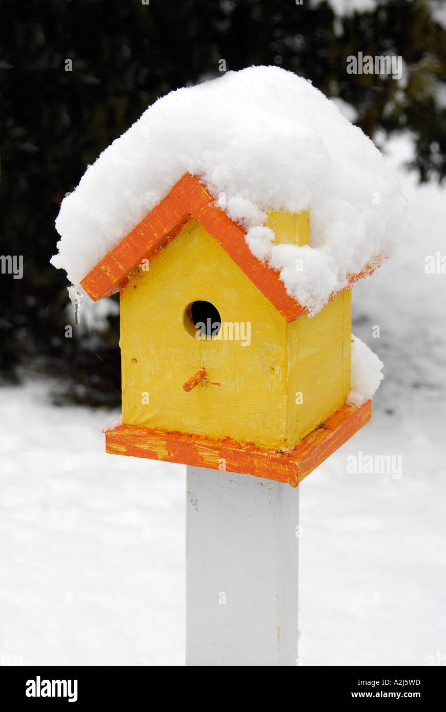 Colorful bird house after a winter snow fall Stock Photo - Alamy