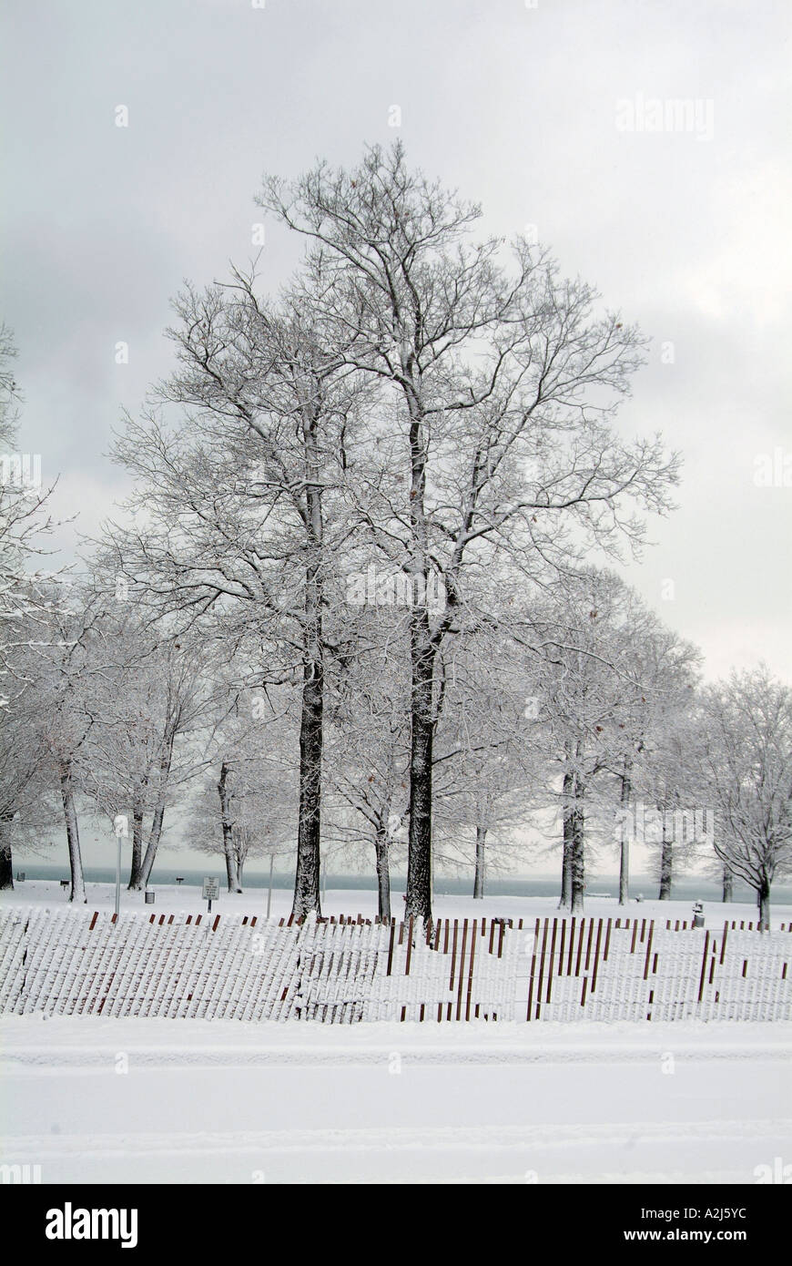Winter scene after a wet snowfall Michigan Stock Photo - Alamy