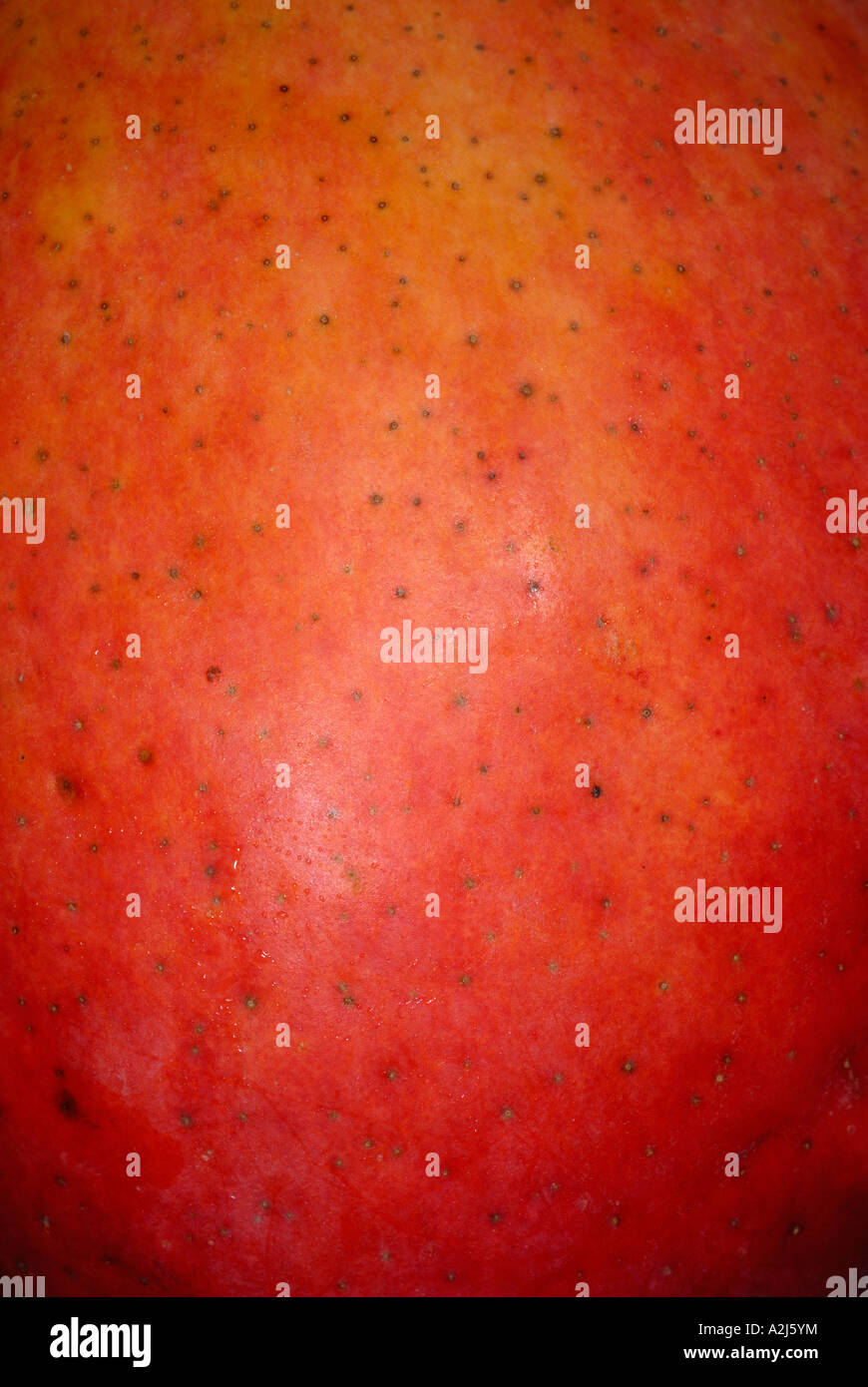closeup of the skin of a mango fruit Stock Photo - Alamy