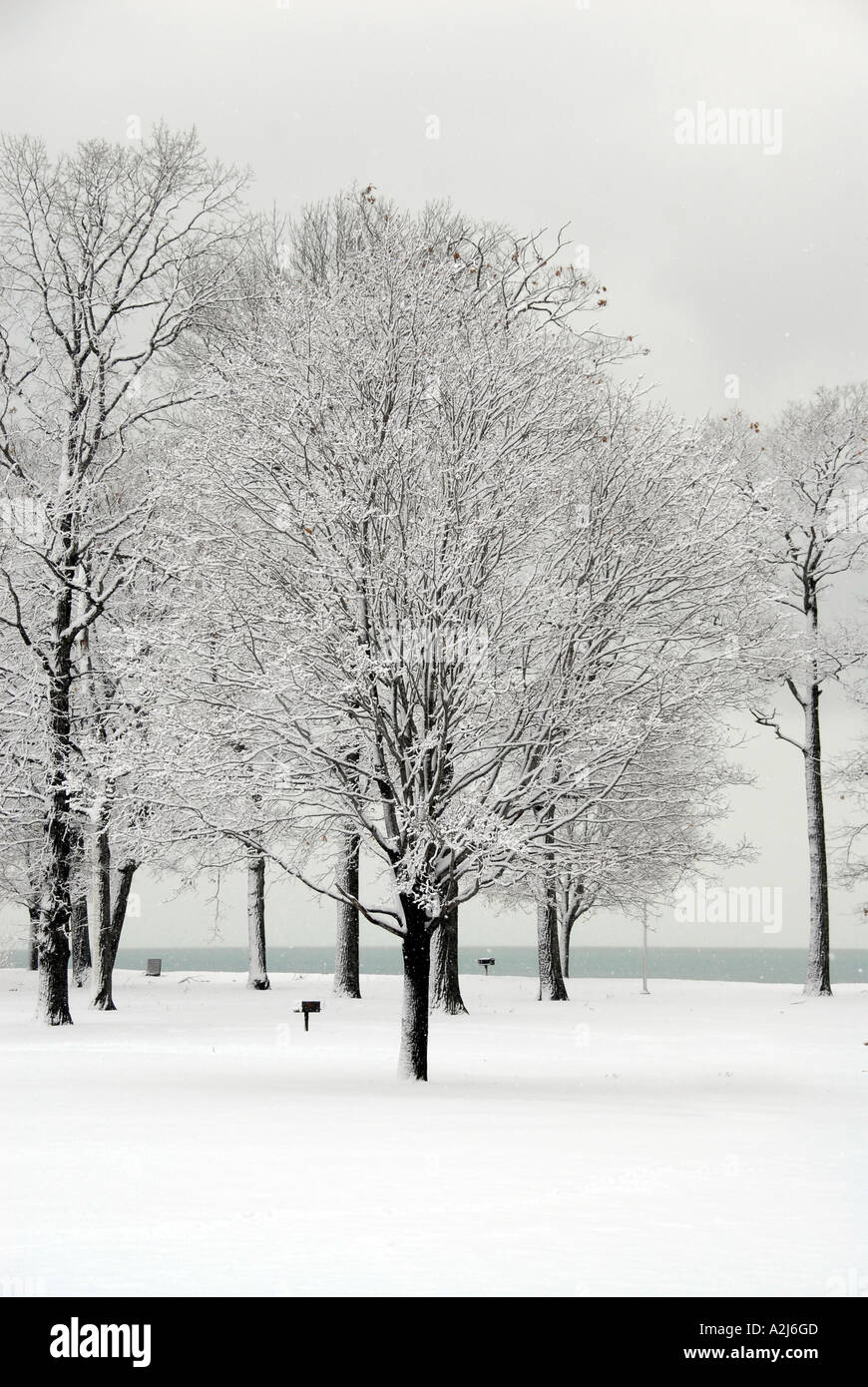 Winter scene after a wet snowfall Michigan Stock Photo - Alamy
